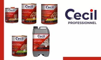 Traitements des bois Cecil Professionnel | Batipôle